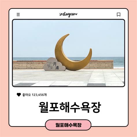 포항 벚꽃 명소 나만알고 싶은 월포해수욕장 캠핑 차박 유명명소 네이버 블로그