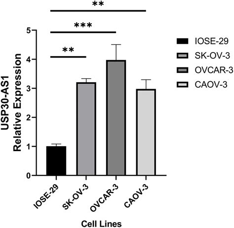 Prognostic Role Of Long Non Coding Rna Usp30 As1 In Ovarian Cancer
