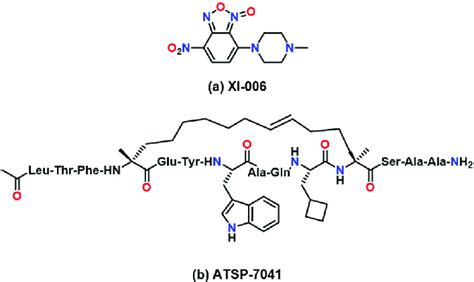 Mdmx A And Dual Mdm2 And Mdmx B Inhibitors For P53 Activation
