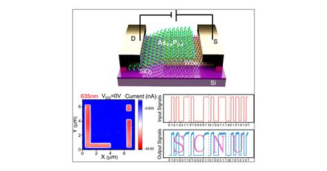 Highly Sensitive Broadband Polarized Photodetector Based On The As0 6p0 4 Wse2 Heterostructure
