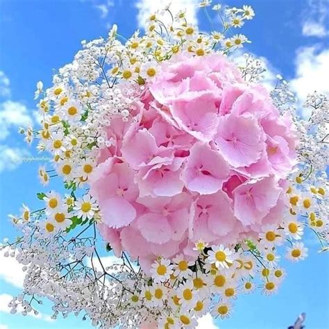 💕💞💞 ️တရုတ် ကိုရီးယား ဇာတ်လမ်းတွဲများစုစည်းရာ💕💞💞 ️