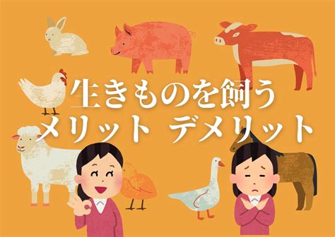 幼稚園保育園で生きものを飼うメリットデメリット 保育士をハッピーに