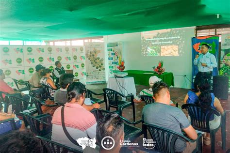 Profesionales Se Capacitan En Manejo Y Uso De Plaguicidas Dirección