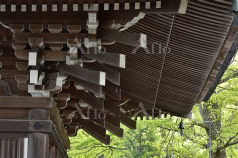 山形県 酒田市 海晏寺三重塔 53699302 の写真素材 アフロ