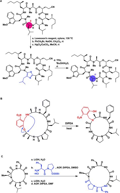 Macrocycles Lessons From The Distant Past Recent Developments And Future Directions