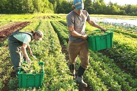 44 milioane de euro investiți în liceele agricole Cotidianul Agricol