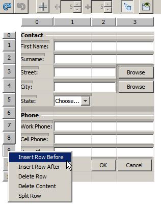 Designing An Advanced Java Form Using The GridBag Customizer