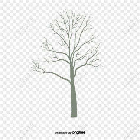 Bare Tree With Leaves Falling Falling Drawing Playground Leaves Drawing