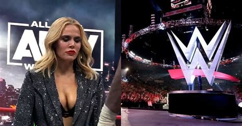 Wwe Former Wwe Star Gets Destroyed After Approaching Cj Perrys Fka