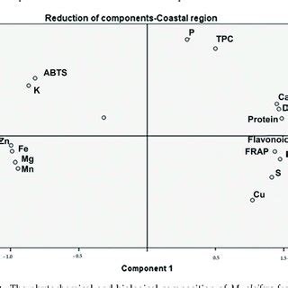 The Phytochemical And Biological Composition Of M Oleifera From The