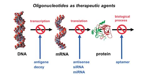 About Center ｜ Nucleic Acid Drug Discovery Center The Research