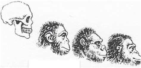 Class Az Class Free Download Borrow And Streaming Internet Archive