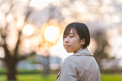 일몰 시 사쿠라 나무 아래 공공 공원에서 젊은 사업가 어깨 너머로 보기에 대한 스톡 사진 및 기타 이미지 어깨 너머로 보기