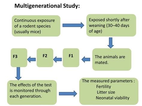 Teratogenic Drugs And Teratogenicity Tests Pptx
