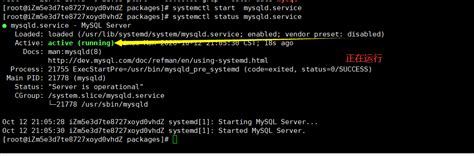 Linux安装mysql80 余生请多指教ant 博客园