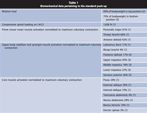 Personal Training In Toowoomba Online The Gym Starter