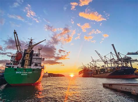 MEDports Association Spotlight Supply Chain Outlook