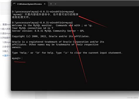 Mysql Root Mysql