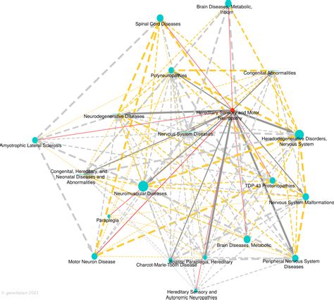 HumanPSD Hereditary Sensory And Motor Neuropathy DI000007160