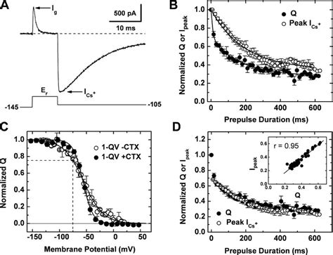 Simultaneous Measurements Inactivation And Q Immobilization A Download Scientific Diagram
