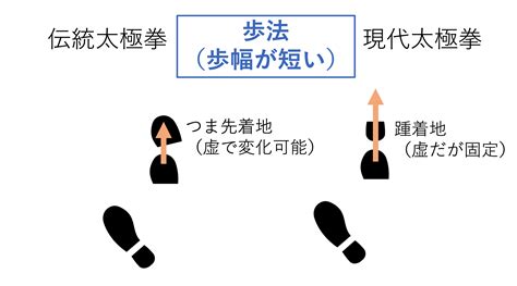 太極拳の歩法、着地はつま先か踵か？ 太極拳、伝統への回帰
