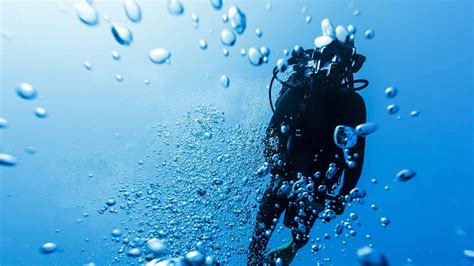 Scuba Diving Tauchausrüstung Was Benötige Ich Zum Tauchen Welches