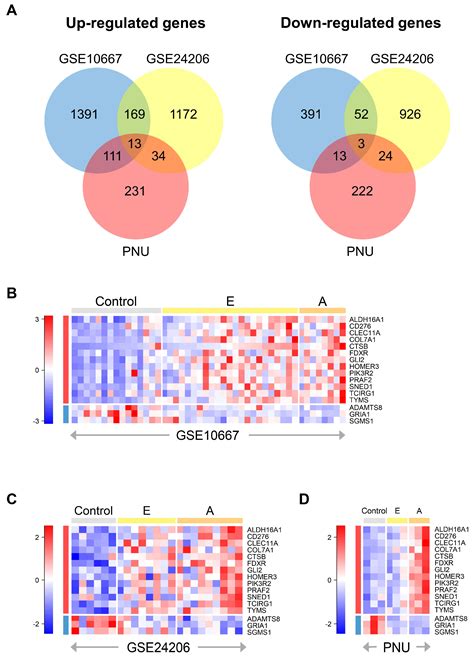 Ijms Free Full Text Development Of A Novel Biomarker For The