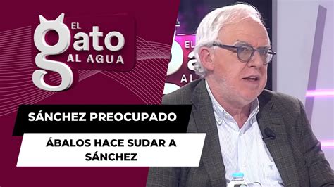 Ábalos hace SUDAR a Sánchez conoce los negocios de Begoña Gómez YouTube