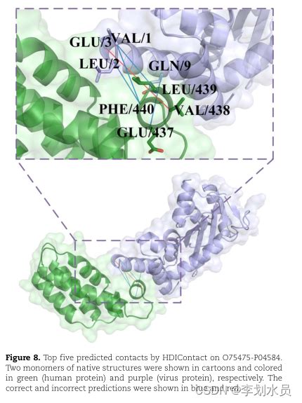 Hdicontact A Novel Predictor Of Residueresidue Contacts On Hetero