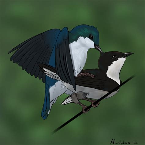 Rule 34 2016 Ambiguous Gender Animal Genitalia Avian Beak Bird Cloaca
