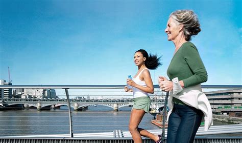 DEXA Scan Scores Everything You Need To Know AlgaeCal