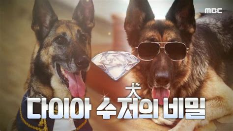 1073회 Ⅰ 다이아 수저의 비밀 Ⅱ 지옥이 된 스위트홈 다시보기 신비한 Tv 서프라이즈 만나면 좋은 친구 Mbc