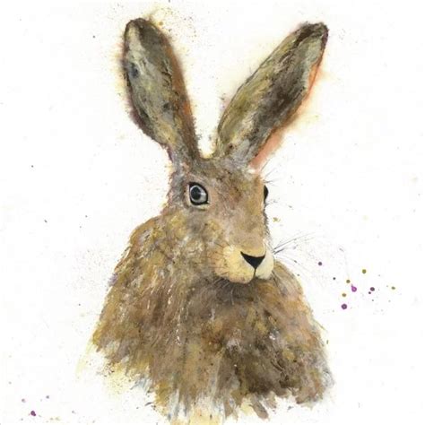 Hare Painting Joan Kennedy Artist Hare Watercolour Painting