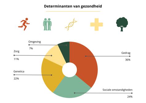 Determinanten Van Gezondheid Essenburgh
