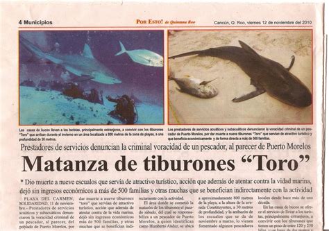 Buceo Xtabay Luzma Guzman ReseÑa De Notas Acerca Del Tiburon Toro