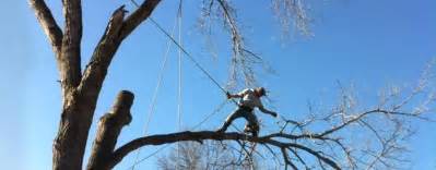 Tree Services Storm Clean Up Topeka KS