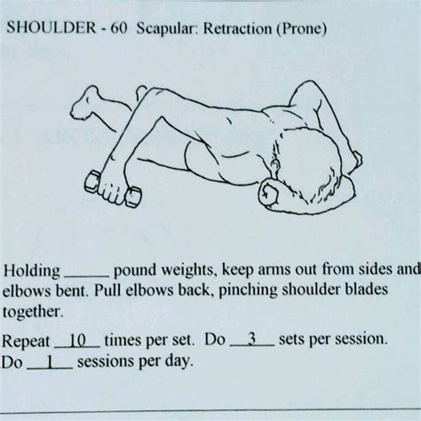 Scapular Retraction Prone By Tammi R Exercise How To Skimble