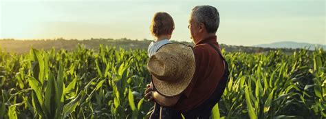Tipos De Agricultura No Brasil Universo AgroGalaxy