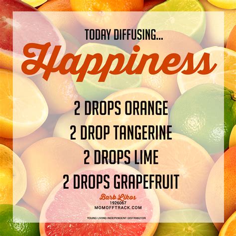 Essential Oil Diffuser Recipes For Summer