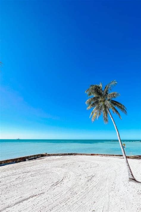 Ultimate Key West Blog: What Not to Miss in Key West