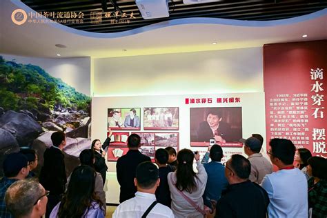 首届中国红茶大会圆满收官 产业趋势“一网打尽”中国国情中国网