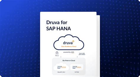 Sap Hana Certified Backup Solutions Data Protection Druva