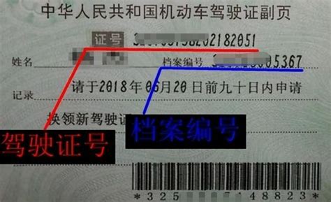 驾驶证号是身份证号还是档案编号 有驾