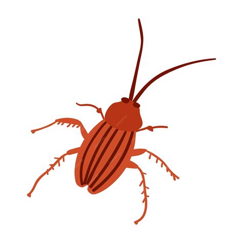 Premium Vector Cockroach Flat Vector Illustration On White Background