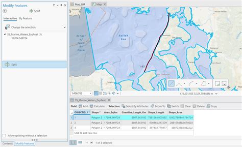 Solved Trouble Splitting A Shoreline Polygon Esri Community