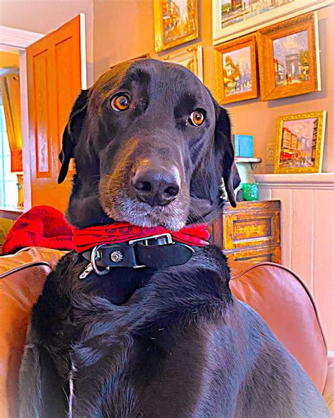 Spick And Span By Sandra Arnold