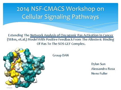 2014 Nsfcmacs Workshop On Cellular Signaling Pathways Extending