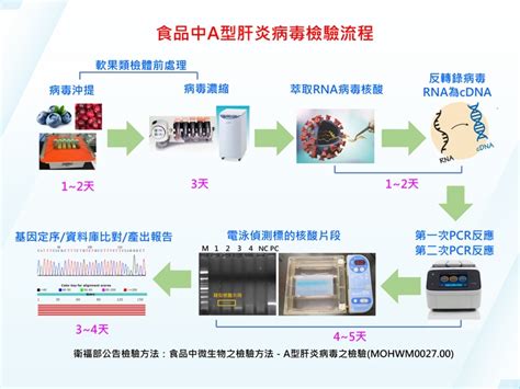 【影】外界質疑莓果案延遲公布？ 食藥署說明檢驗流程｜四季線上4gtv