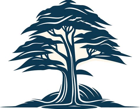 Stylized Illustration Of A Cedar Tree 49252514 Vector Art At Vecteezy