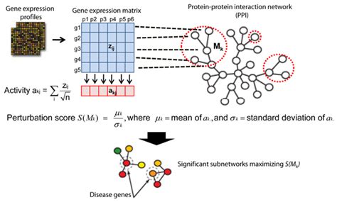 schematic overview of the subnetwork identification schematic overview